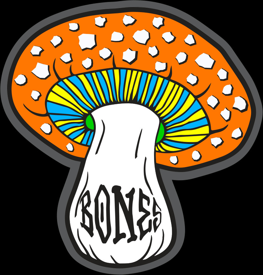 BONES WHEELS Portal 3" Sticker 20 pack Photo #2 - Photo Gallery - BONES ...